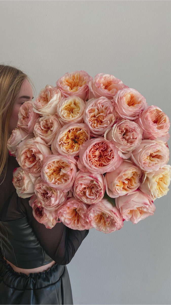 David Austin - 25 Peach-Tinged Roses in Burbank & Los Angeles, CA ...